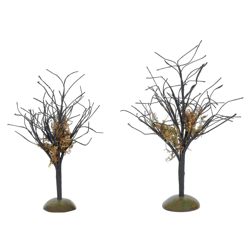 Midnight Moss Trees – Ruta European Artistry